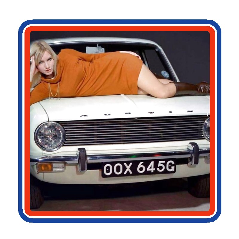 Austin Maxi Cable Changer Engine Bay Sticker Bundle 1